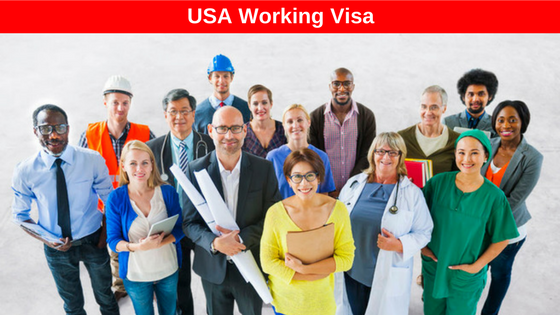 USA Working Visa | Migrate and Work in the USA with Sync Visas